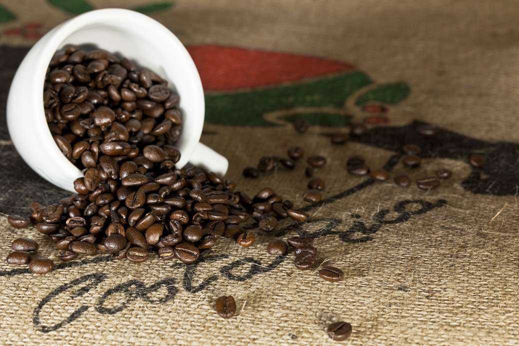 COSTA RICA – Prezzi in crescita aiutano il comparto del caffè - Comunicaffè